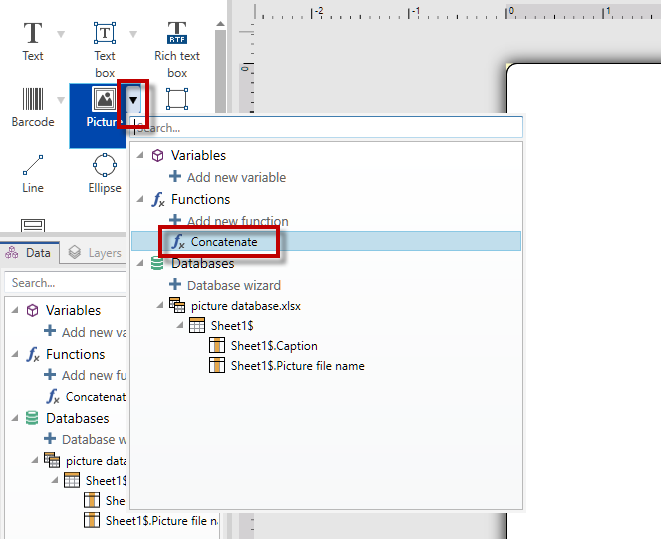 Print variable pictures – NiceLabel Help Center